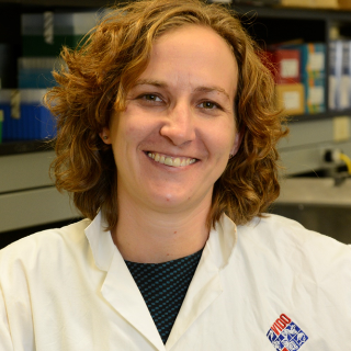 Intrauterine immunization as a route of vaccination in pigs - 文章 ...