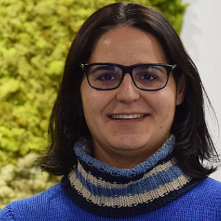 母猪分娩前采食量对断奶仔猪生产性能的影响 - 文章 - pig333.cn, 世界猪业之窗